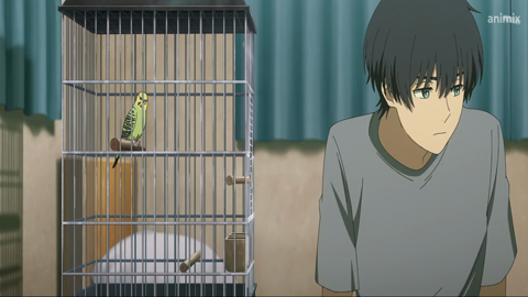 animix - Смотреть аниме онлайн